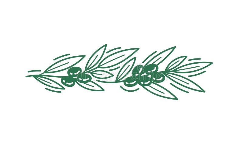 Olive Branch Floral Ornament. Line Pattern Background. Editable Outline ...