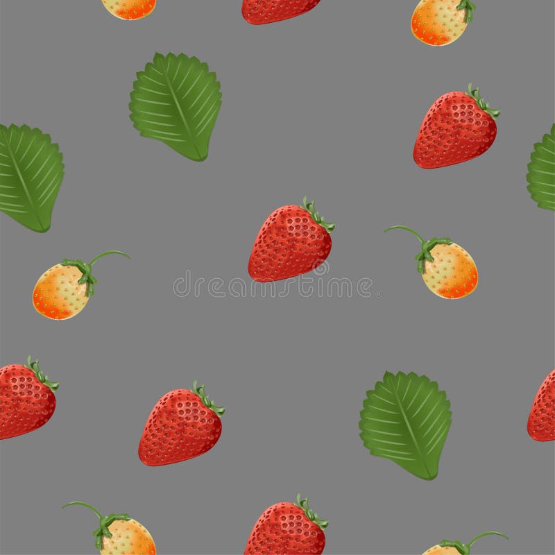 Background Element. Template. Strawberry and Green Leaf. Template ...