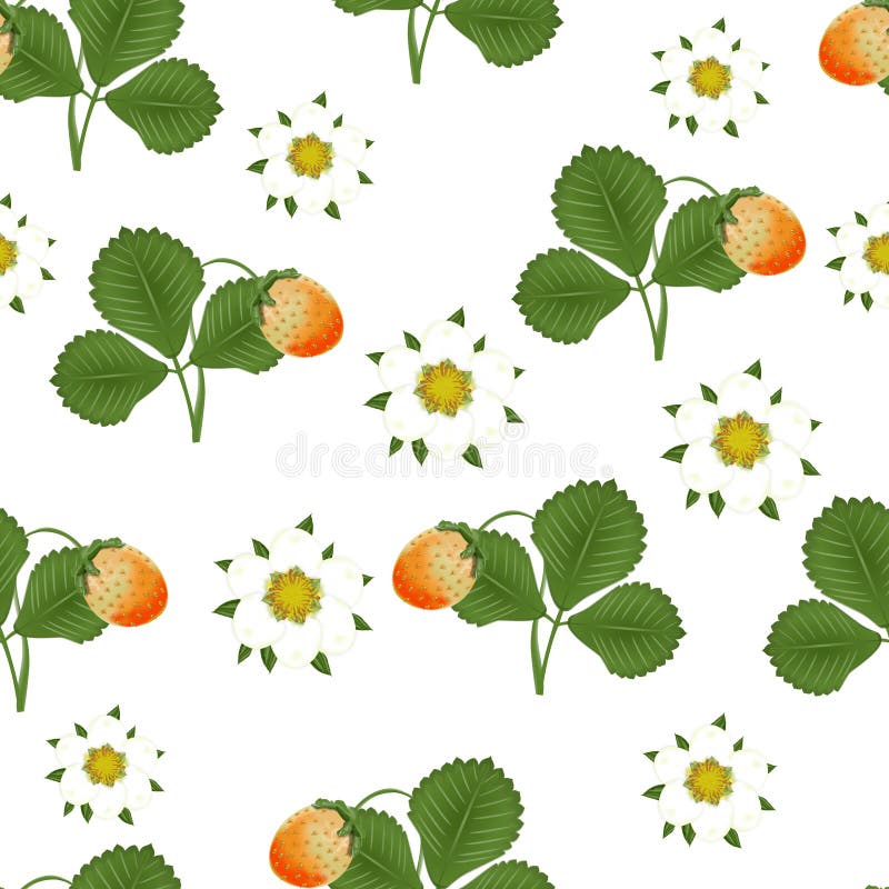 Background Element. Template. Strawberry and Green Leaf. Template ...