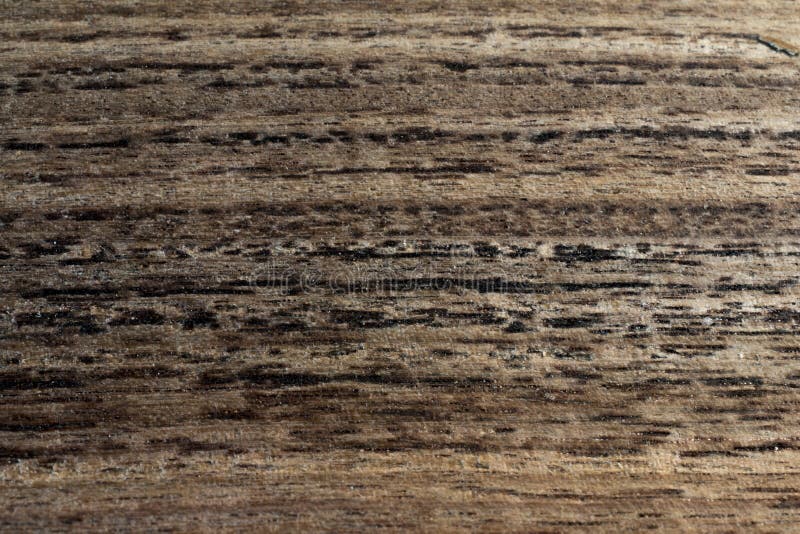 Background of Exotic Wood Grain Stock Image - Image of nature, flooring ...