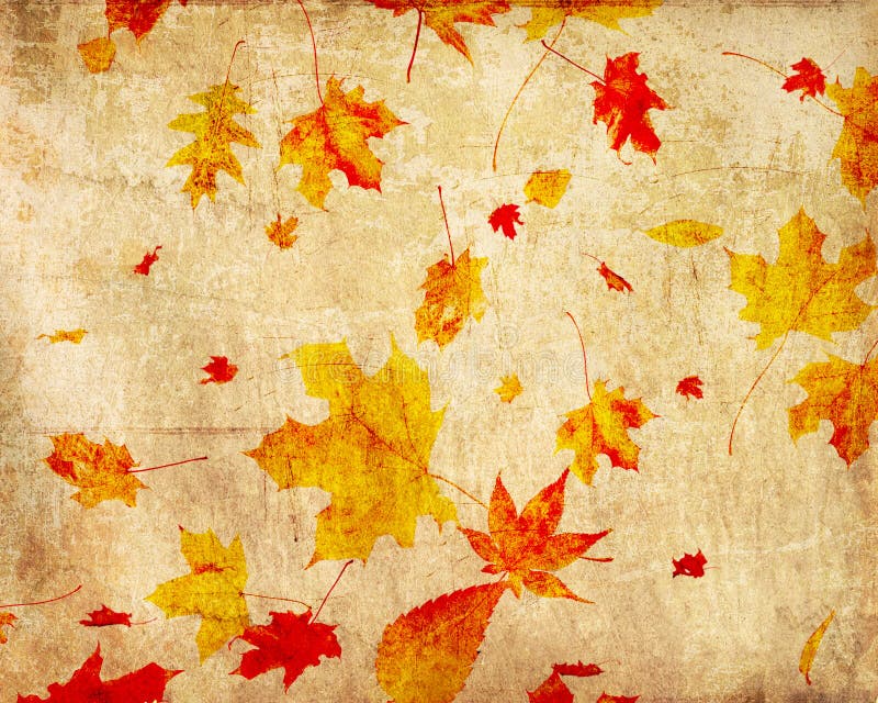 Background of Fall Leaves on Texture Stock Image - Image of plant ...