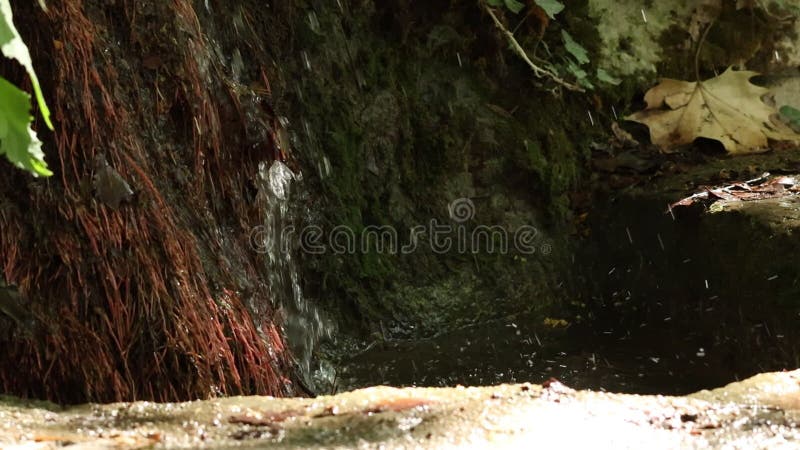 Background of Falling Water with Moss on the Wall Stock Footage - Video ...