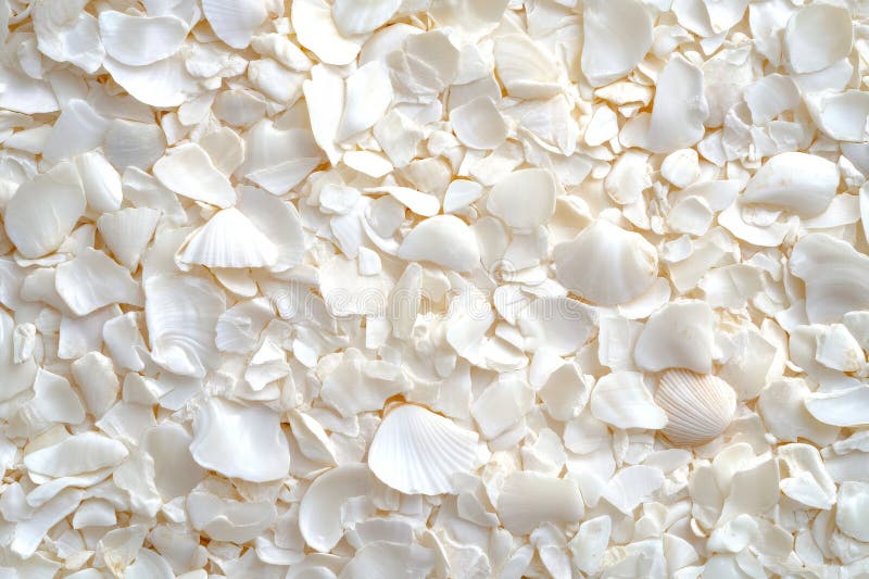 The Background Features a Gorgeous Texture from a Mother of Pearl Shell ...