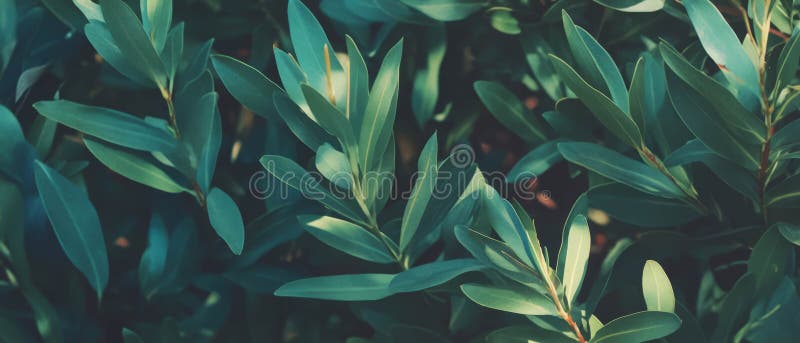 Background Featuring Fresh Green Leaves in a Subtle Organic Pattern ...
