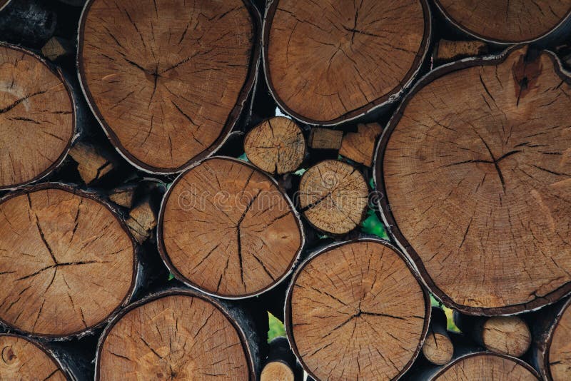 Decorative Wall, a Pile of Logs Stock Photo - Image of pile, stump ...