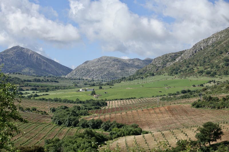 Background with Fields of Different Crops and Colours Stock Image ...