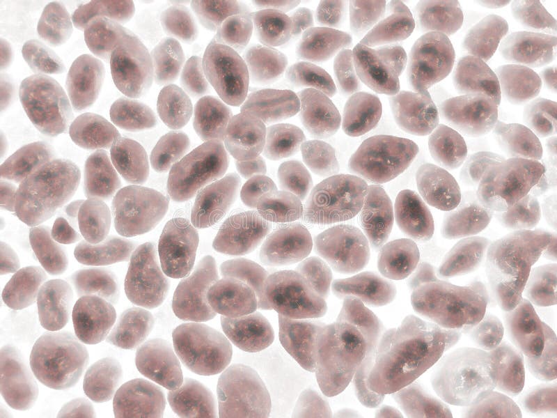 Red fire stones in the fog stock photo. Image of crystal - 117630758