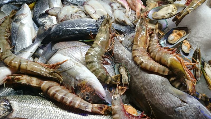 Background with Fish and Seafood Stock Image - Image of restaurant ...