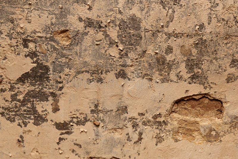 Wall Texture with Flaking and Mold Stock Photo - Image of plaster ...