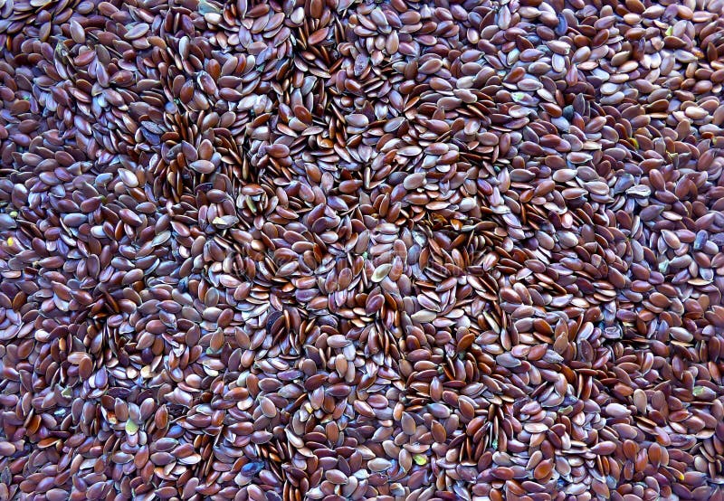 Background of the flax stock photo. Image of pile, open - 87790540