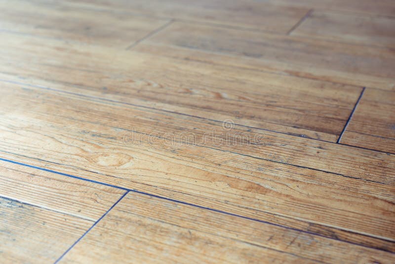 Background of Floor Tiles Under a Tree Closeup Stock Image - Image of ...