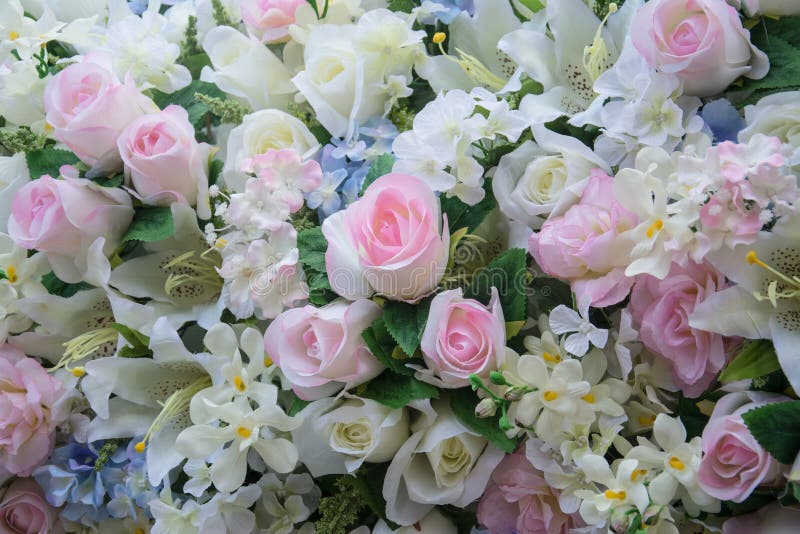 Background floral variety. stock photo. Image of isolated - 46680940