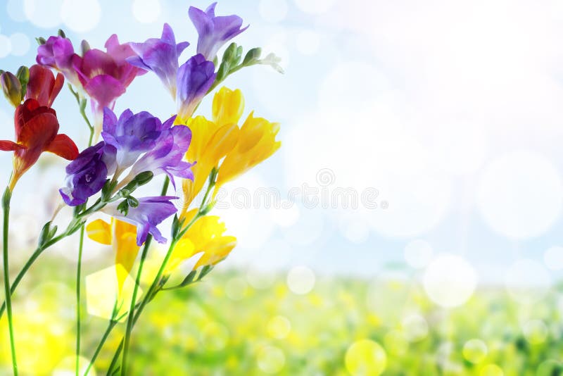 Art Abstract Spring Floral Background for Design Stock Photo - Image of ...