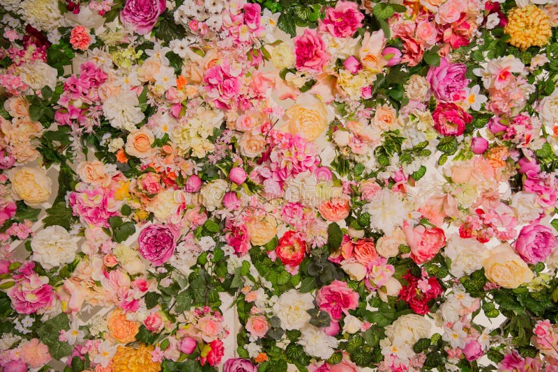 Background from Flowers. Blooming Spring Texture. Stock Photo - Image ...