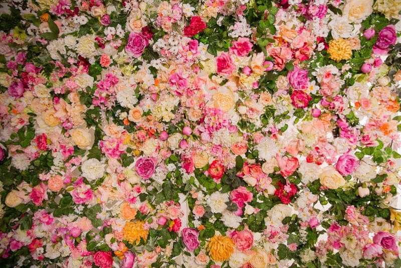 Background from Flowers. Blooming Spring Texture. Stock Image - Image ...