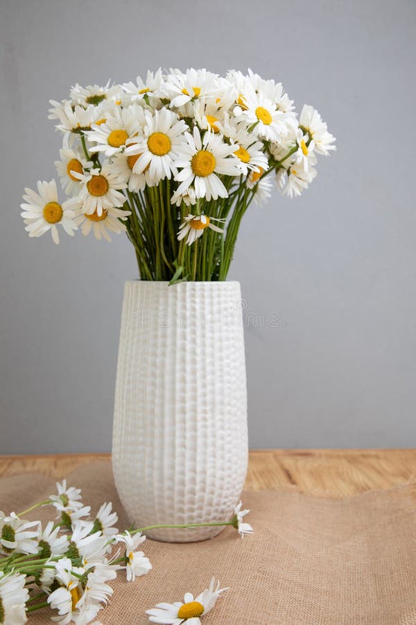 Background with Flowers. Front View of White Field Daisies Bouquet ...