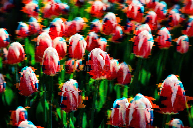 Background of Flowers in Glitch Effect Stock Image - Image of bouquet ...