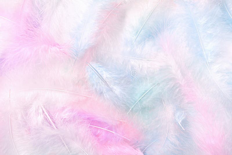Background of Fluffy, Delicate Feathers. Colored Bird Feathers Stock ...
