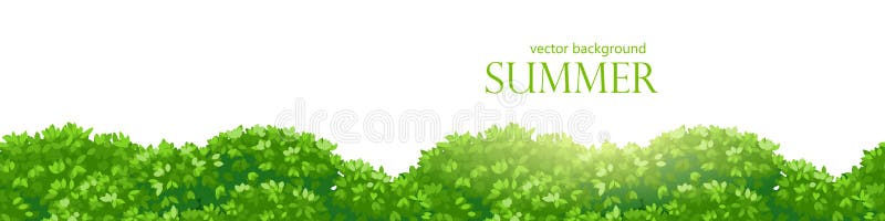 Background with Fluffy Thickets, Bushes with Dense Foliage. Seamless ...