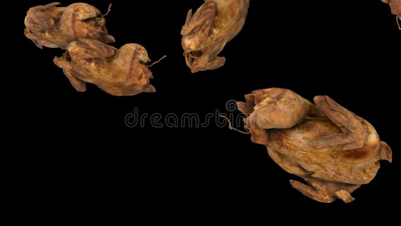 Background of Flying Chicken Grilled with Alpha Channel Stock Footage ...