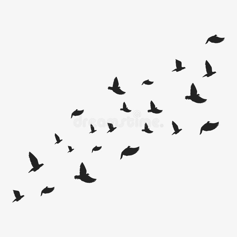 Dove Swarm Doves Flying Stock Illustrations – 15 Dove Swarm Doves ...
