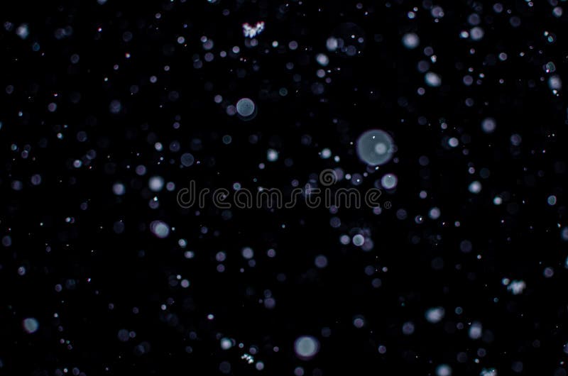 Background of Flying Snow in the Night Sky Stock Image - Image of ...