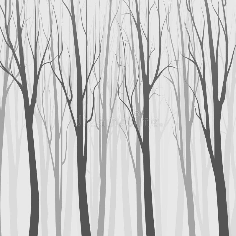 Background with Forest, Trees Silhouette Gray. Vector on White ...