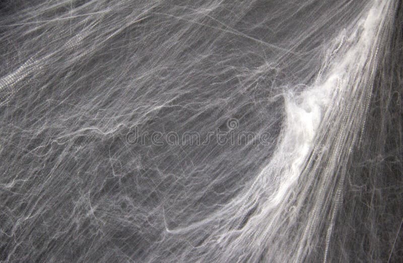 Background in the Form of a Cobweb with Spiders Stock Photo - Image of ...