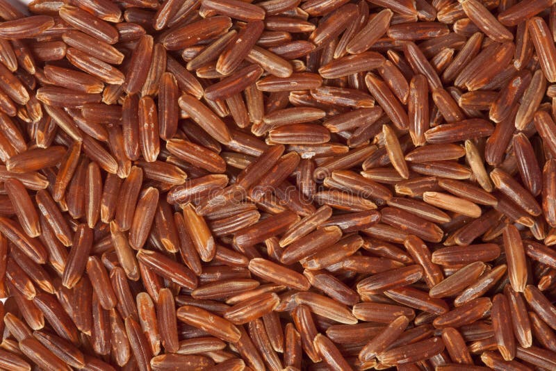Grains of rice stock photo. Image of healthy, grain - 105690306