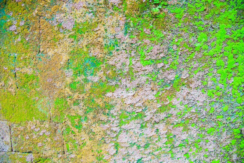 Background in the Form of Green Stock Image - Image of agriculture ...