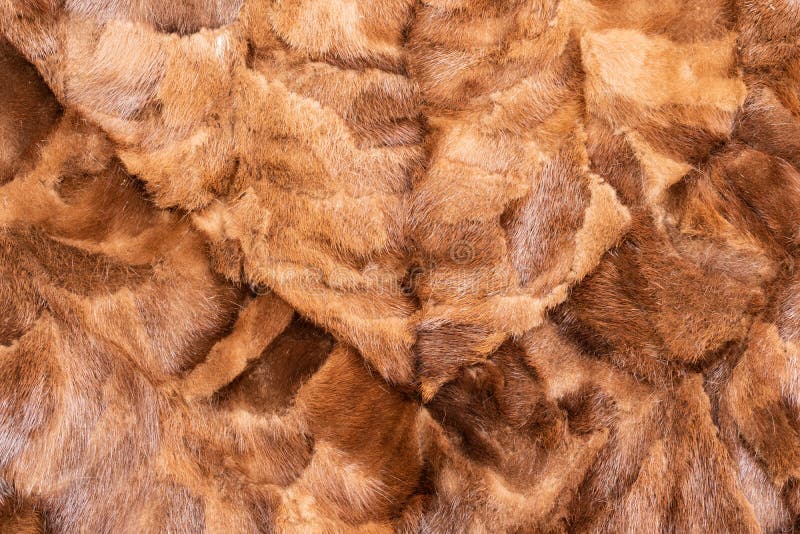 Background in the Form of Natural Pieces of Mink Fur Brown Color Stock ...