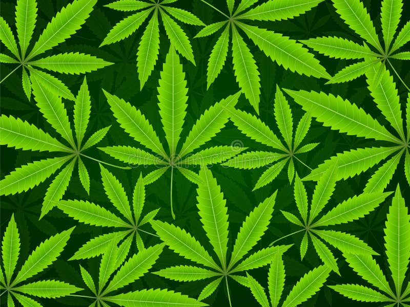 Marijuana background stock vector. Illustration of weed - 208305359