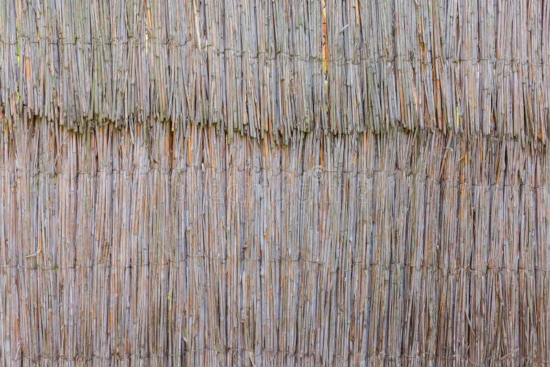 Background of Fragment of the Old Reed Fence Stock Image - Image of ...