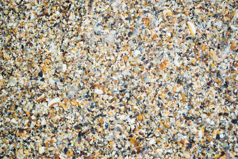 Background of Fragments of Sea Shells Under Water on the Seashore Stock ...