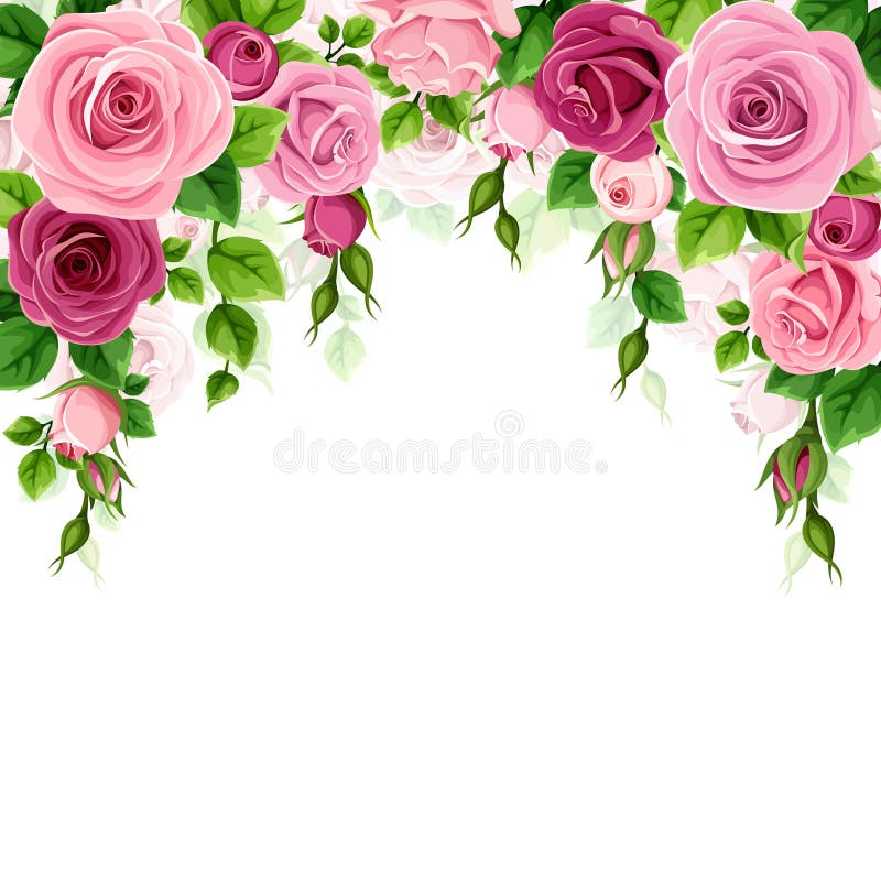 Background Frame with Pink and Purple Roses. Vector Card Design Stock ...