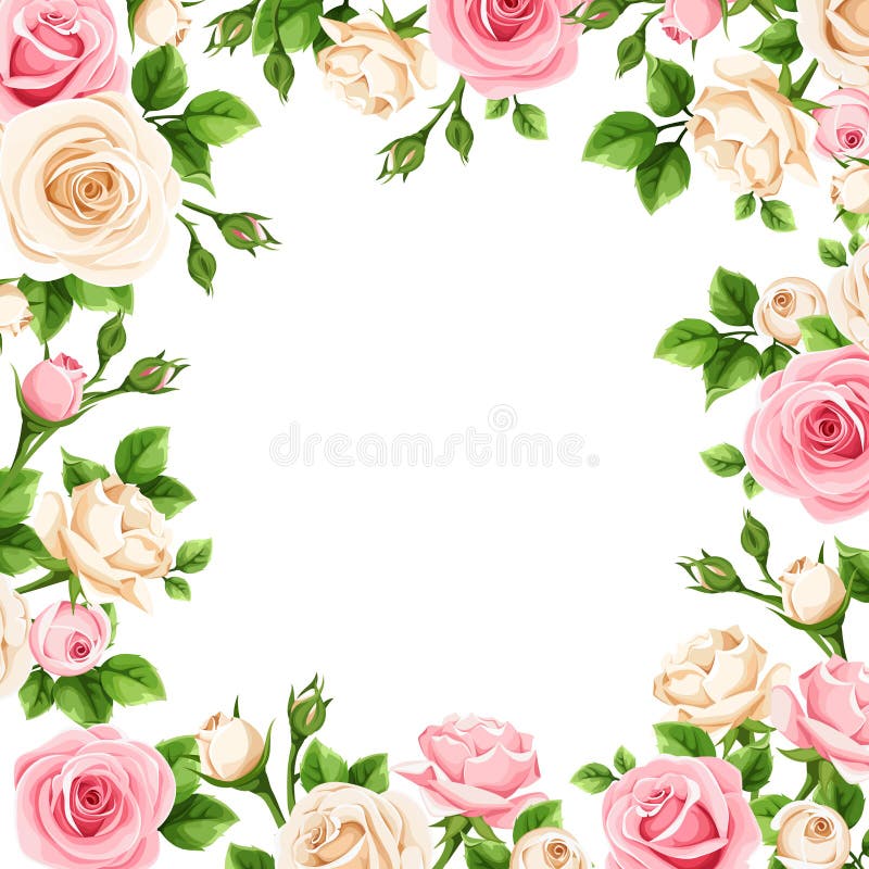 Background Frame with Pink and White Roses. Vector Illustration. Stock ...