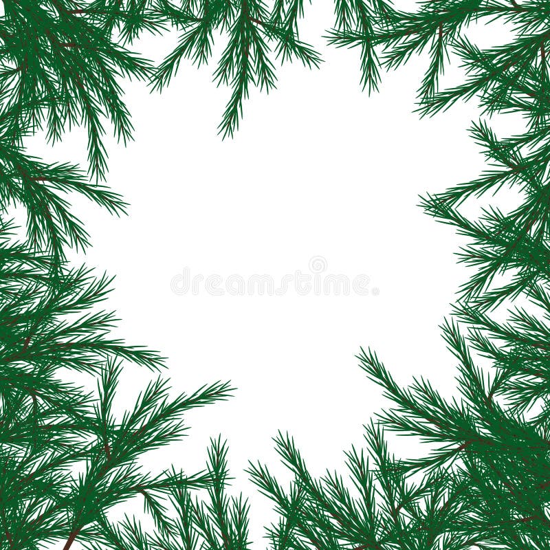 Background Frame of Spruce Branches of Green Color for Creativity Stock ...