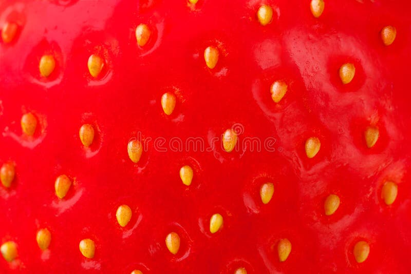Background of Fresh Berry of Red Strawberry with Seeds Close Up Stock ...