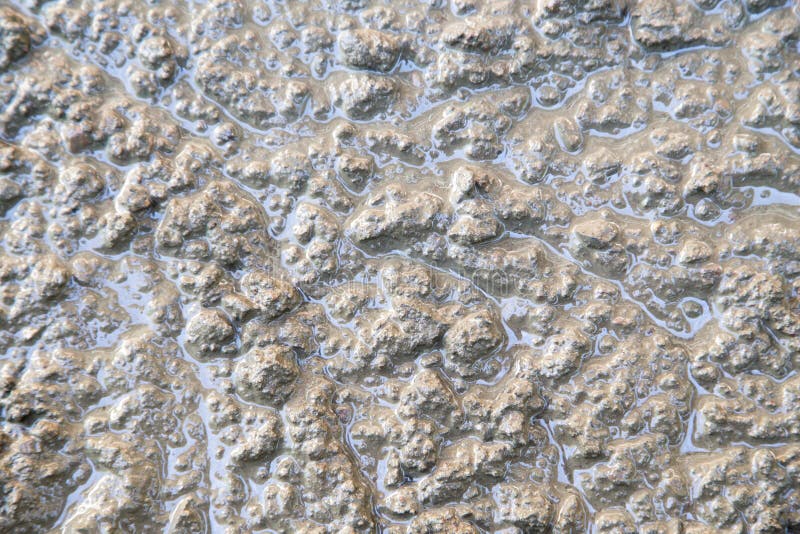 Background of the Fresh Cement Solution Stock Photo - Image of house ...