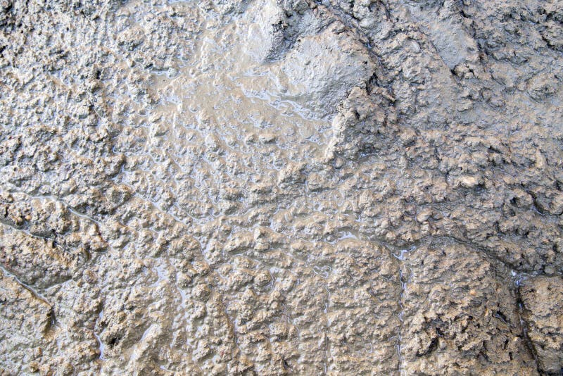 Background of the Fresh Cement Solution Stock Photo - Image of ...