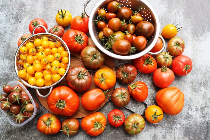 Background of Fresh Heirloom Red Tomatoes on Cutting Board, View from ...