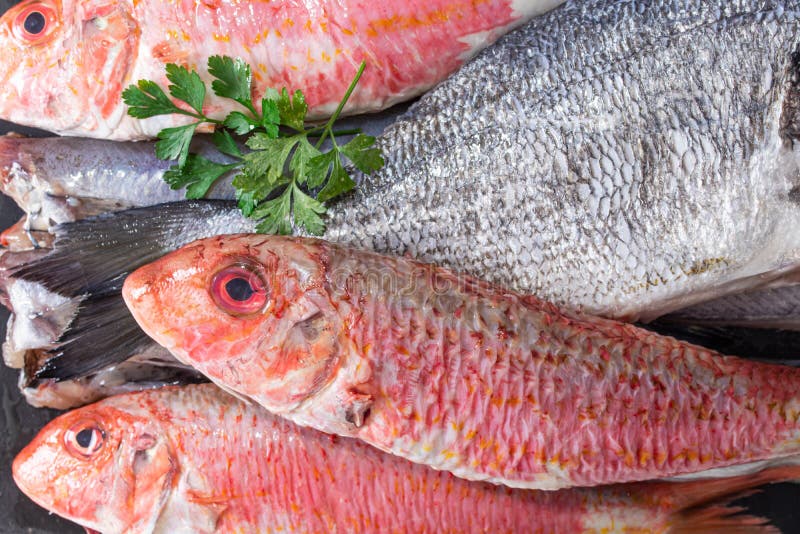Background of Fresh Natural Fish Stock Photo - Image of fresh, bream ...