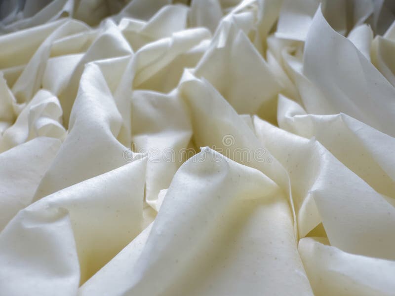 Background of Fresh Phyllo Pastry Stock Image - Image of thin, unique ...