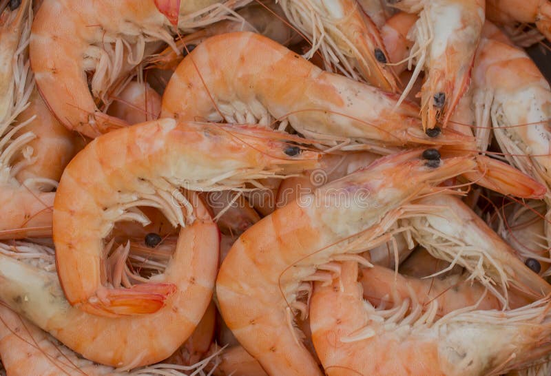 A Background of Fresh Prawns for Sale at a Market Stock Photo - Image ...