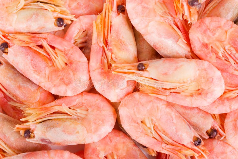 Background of fresh prwns stock image. Image of delicious - 25763989