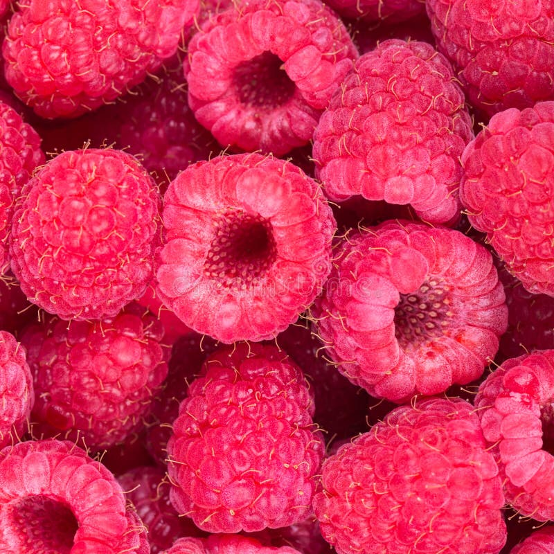 Raspberries Background Closeup Stock Image - Image of food, color ...