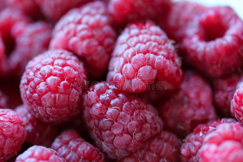 Background with Fresh Raspberry Closeup Stock Photo - Image of poster ...