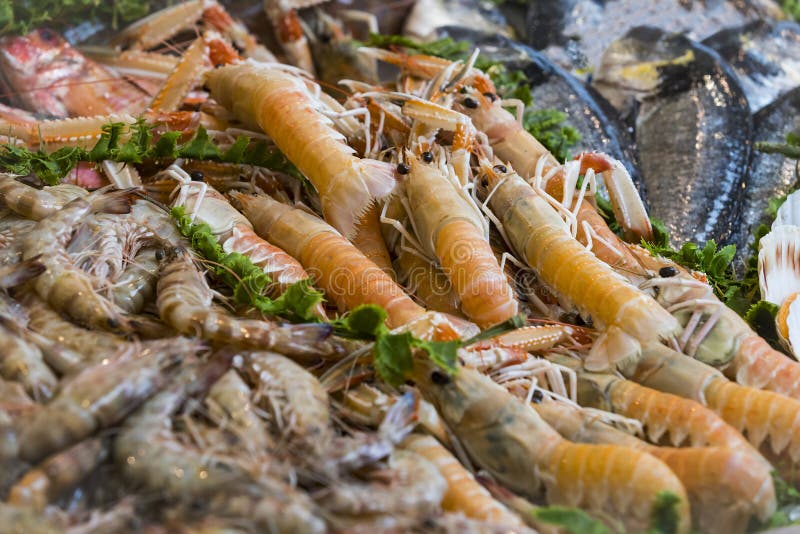 Background of Fresh Seafood Stock Photo - Image of clearance, bass ...