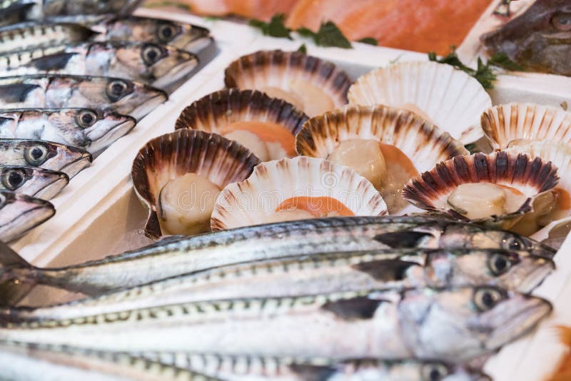 Background of Fresh Seafood Stock Image - Image of crabs, gilt: 125963317