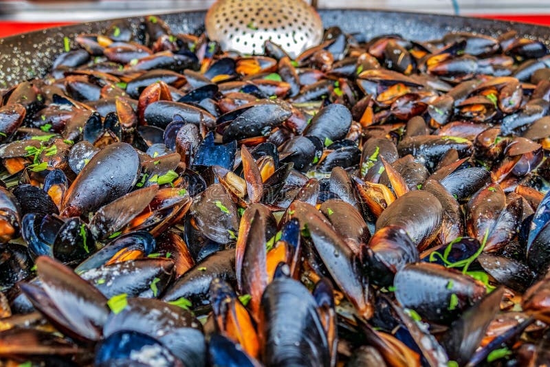 Background with Fresh Shells in a Big Pan Stock Image - Image of ...